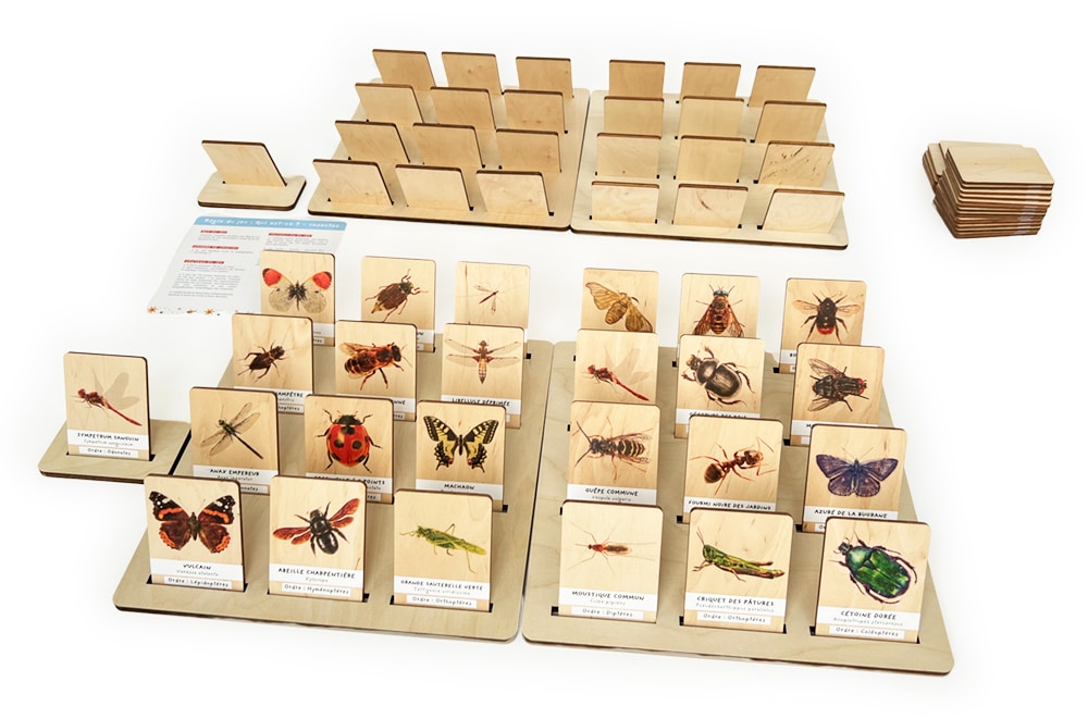 Jeu sur les insectes - Qui est-ce géant en bois